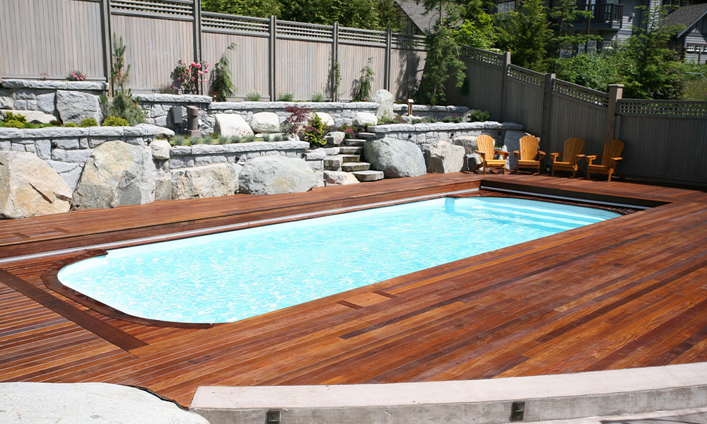 Dolphin - The Pool Source